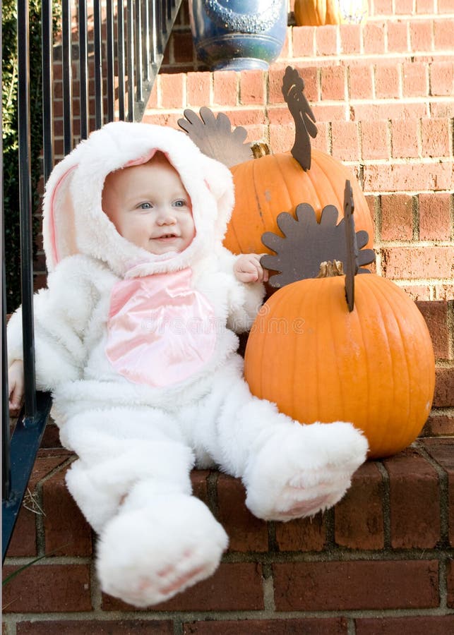 Rabbit Costume stock image. Image of adorable, autumn - 8157591