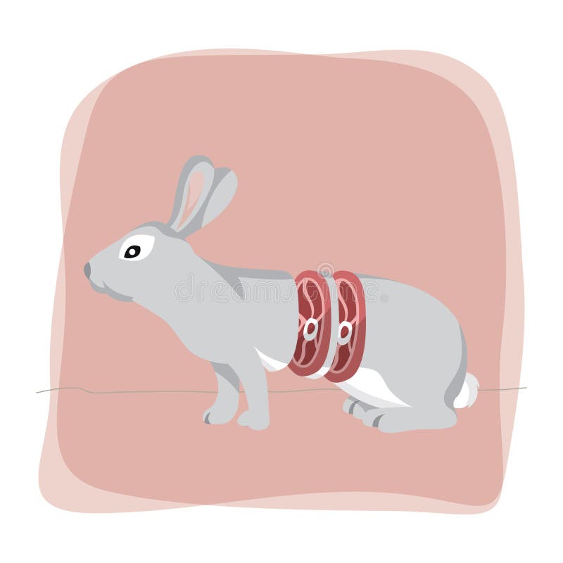 Rabbit Cuts Stock Illustrations – 156 Rabbit Cuts Stock Illustrations ...