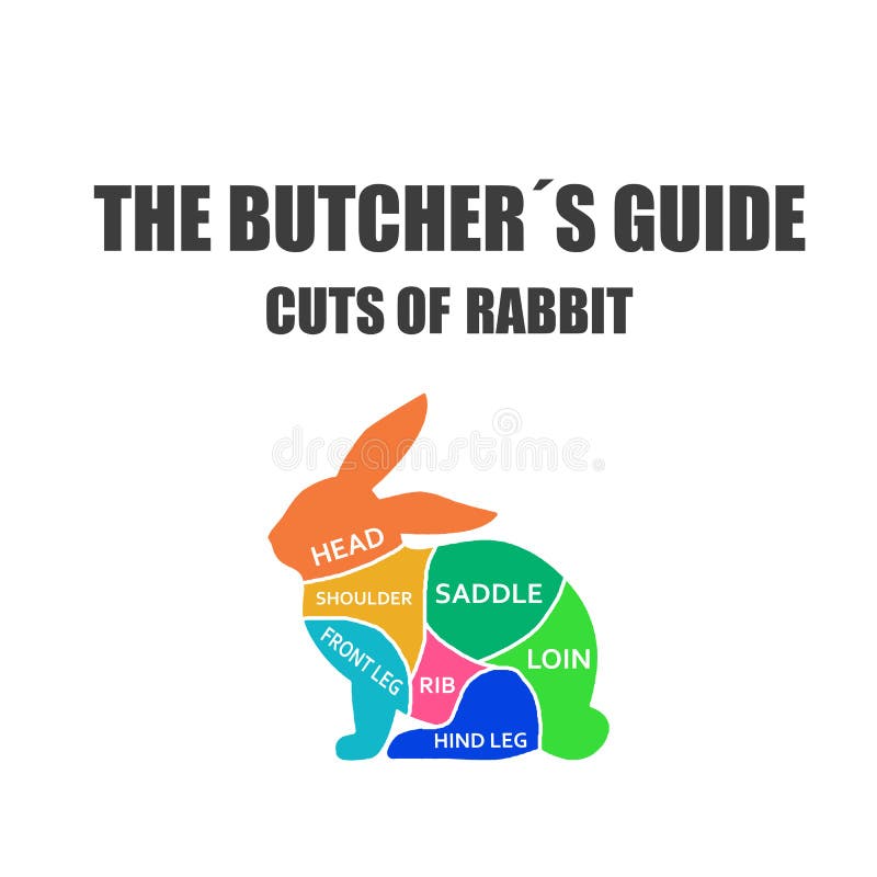 Rabbit Cut of Meat . Butcher Diagram, Scheme Stock Illustration ...