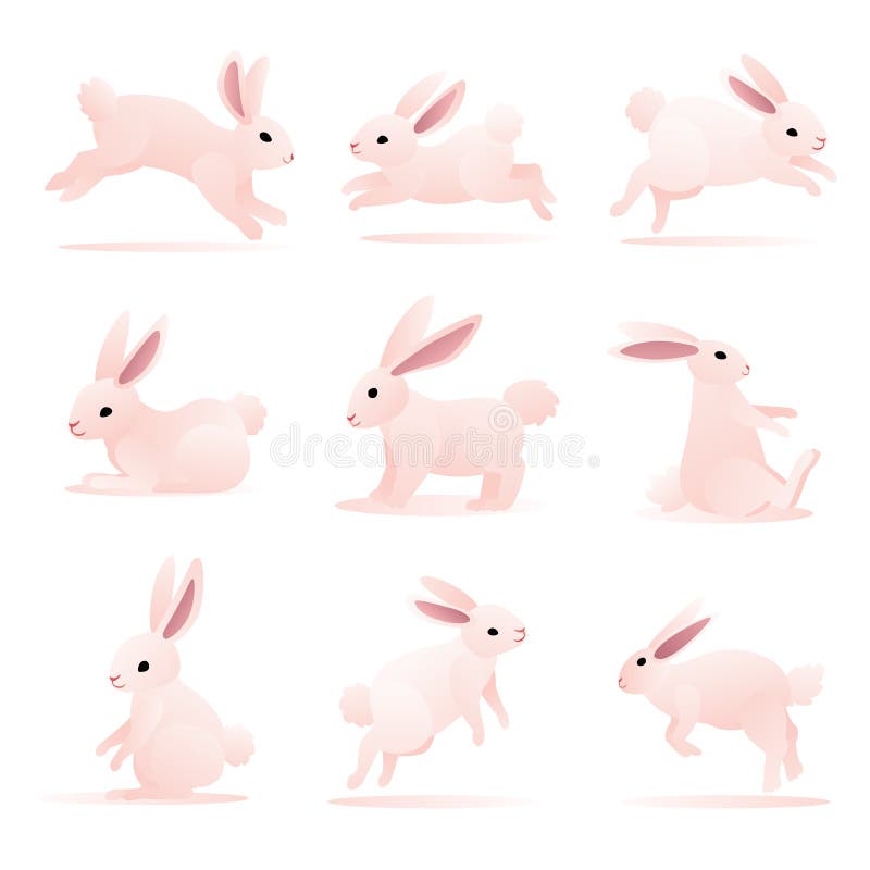 Rabbit Cute Illustration Vector with Different Pose Pink Gradient Color ...