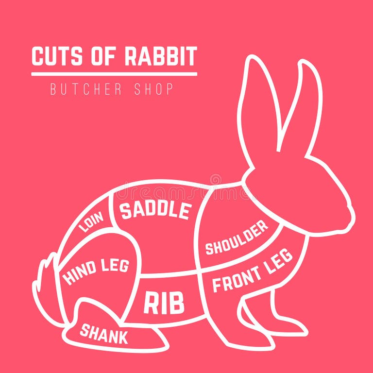Rabbit Cuts Diagram for Butcher Shop Stock Vector - Illustration of ...