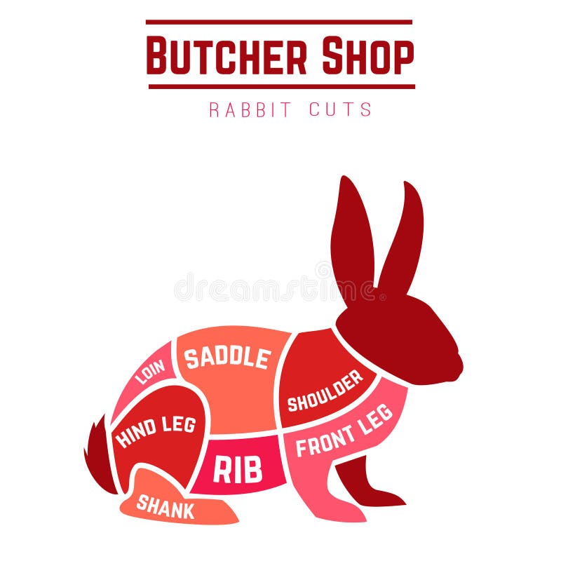 Rabbit Cuts Diagram for Butcher Shop Stock Vector - Illustration of ...