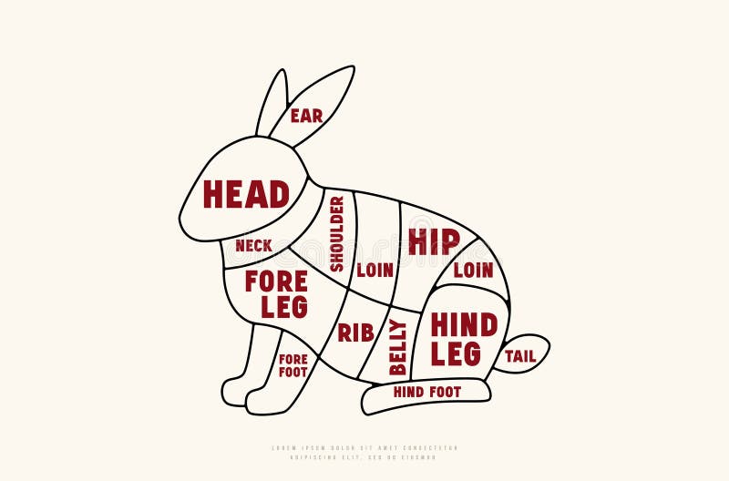 Rabbit Cuts Diagram in Silhouette Style Stock Vector - Illustration of ...
