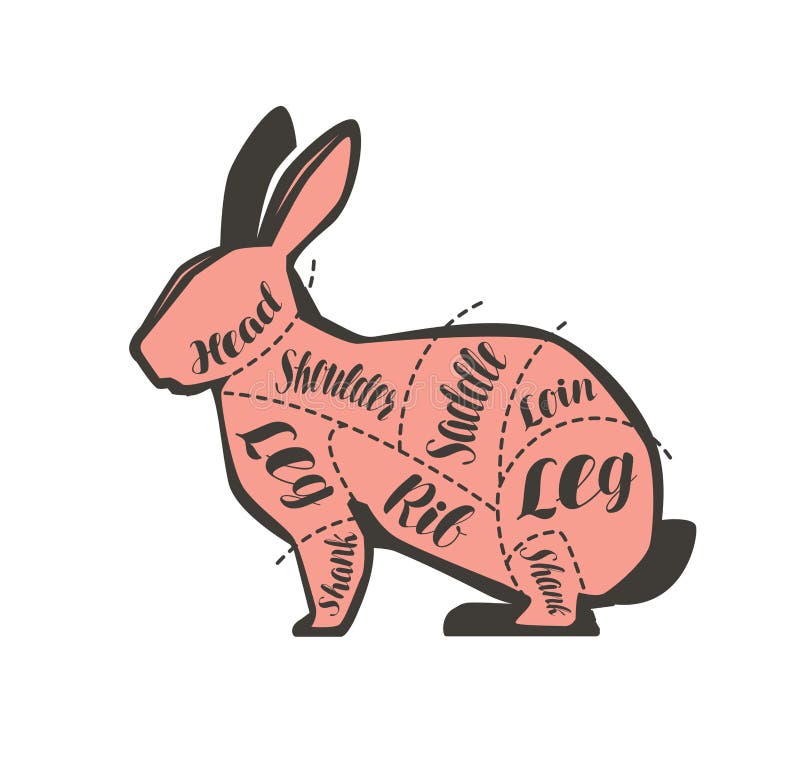 Cut of Meat, Rabbit. Poster Butcher Diagram and Scheme, Vector ...