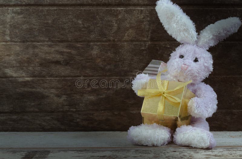 Rabbit Doll Holding Present Box Stock Photo - Image of holding, glasses ...