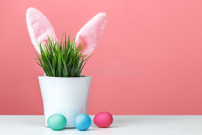 Rabbit Ears Sticking Out of a Flower Pot with Green Grass, are Multi ...