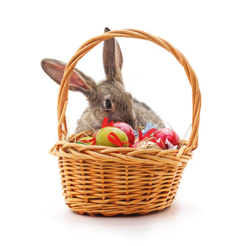 Easter basket and bunny. stock image. Image of holiday - 110525507