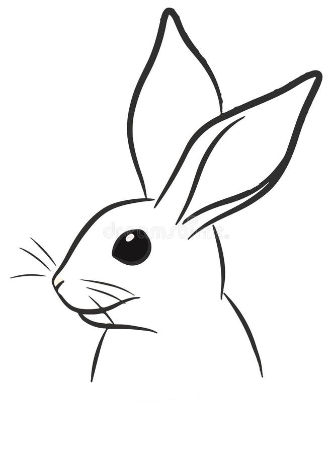 Rabbit Easter Head Outline Isolated on White Stock Vector ...