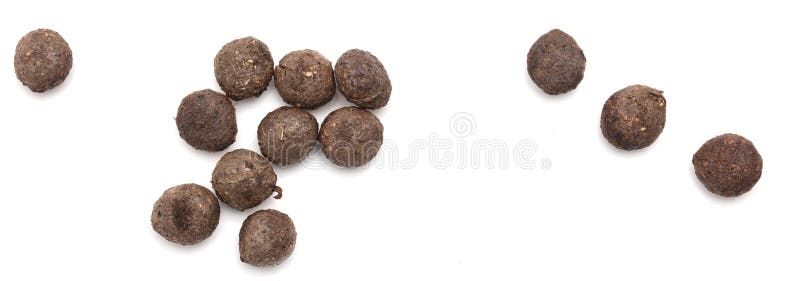 Hare Poop stock photo. Image of natural, brown, rabbit - 102284792