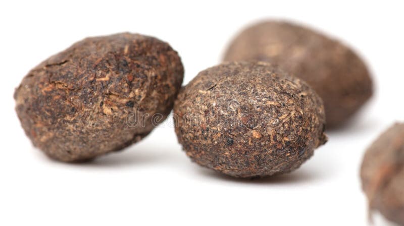 Hare Poop stock photo. Image of natural, brown, rabbit - 102284792