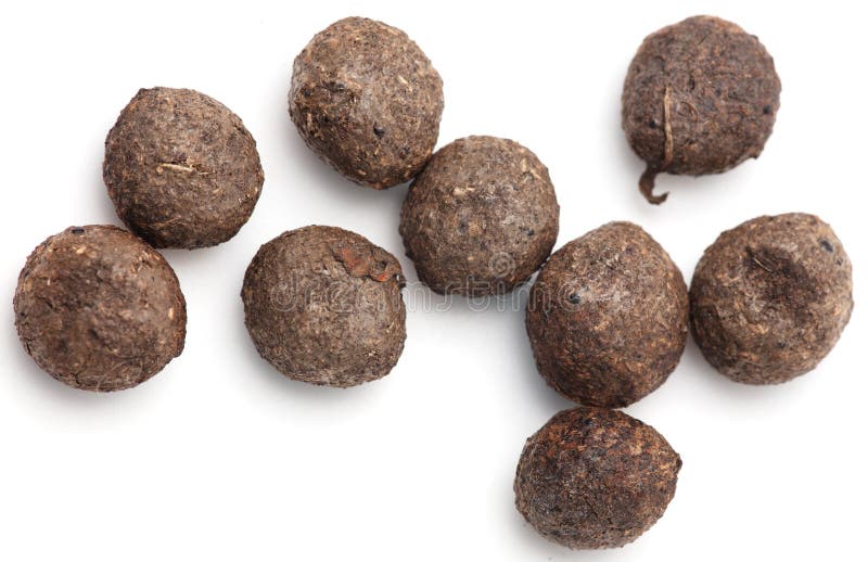 Hare Poop stock photo. Image of natural, brown, rabbit - 102284792