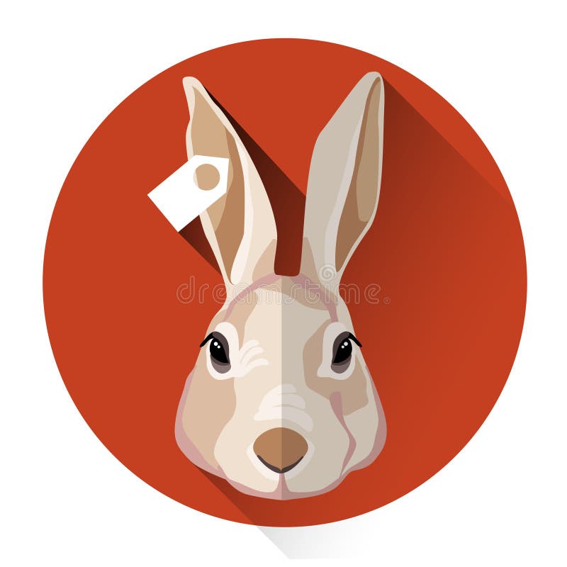 Rabbit Farm Animal Icon stock vector. Illustration of head - 75152843