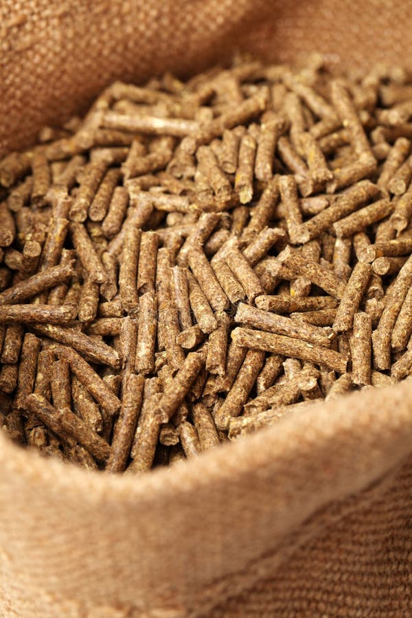 Rabbit feed stock photo. Image of small, blue, complete - 33573266