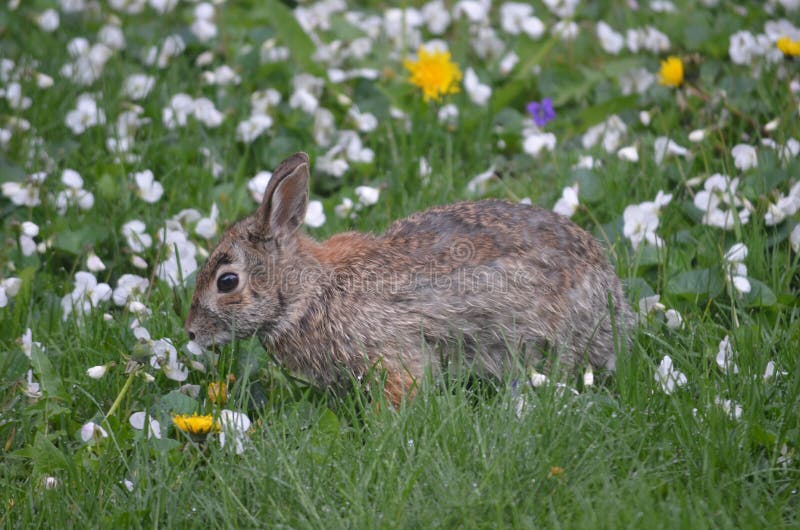 Thomas Whalen (Thomwhalen) - Photos