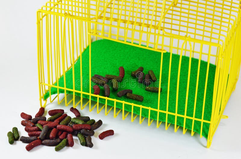Rabbit Food and Cage for Tiny Pet Stock Image - Image of cage, rabbit ...