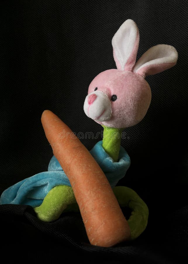 Rabbit with food. stock photo. Image of carrot, natural - 109527378