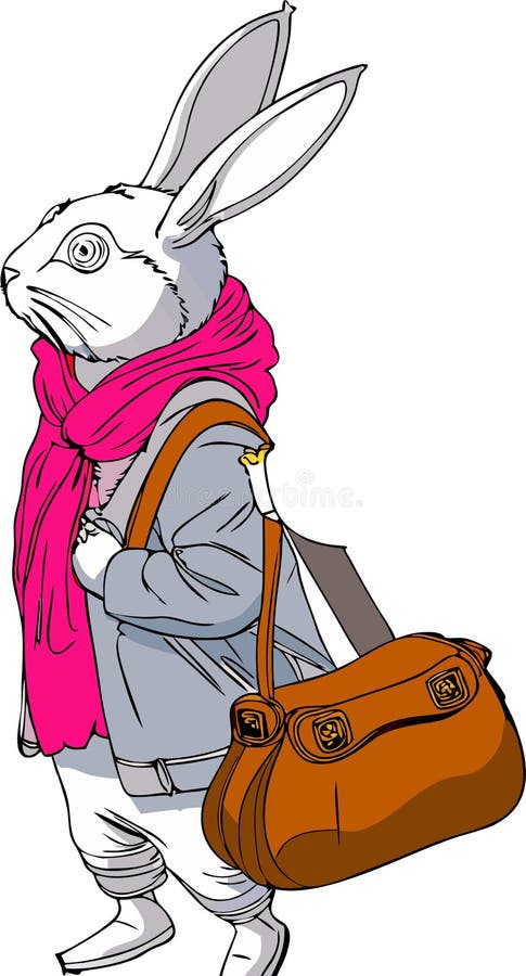 Rabbit , Full Body Realistic Image, White Background Stock Illustration ...