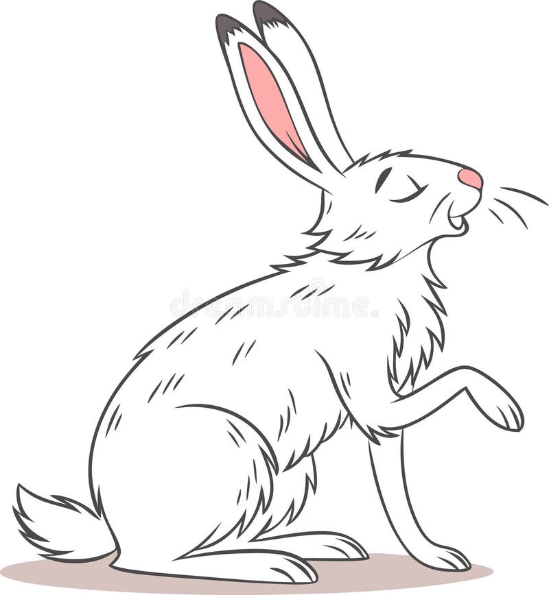 Rabbit , Full Body Realistic Image, White Background Stock Illustration ...