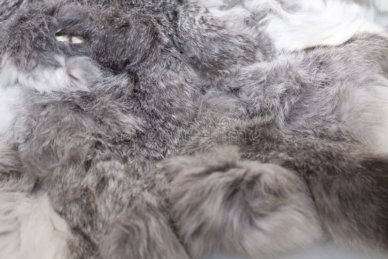 Rabbit Fur stock image. Image of white, protection, abstract - 2547741