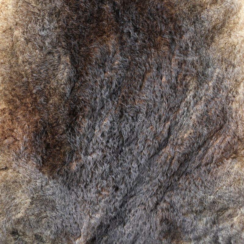 Rabbit Fur Texture Stock Images - Download 450 Royalty Free Photos