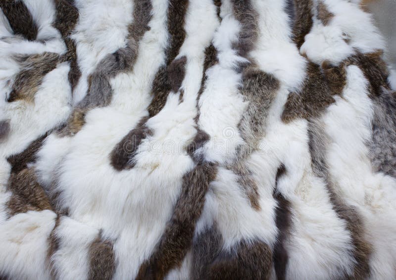 Rabbit Fur of Various Colors Sewn Together Stock Photo - Image of ...