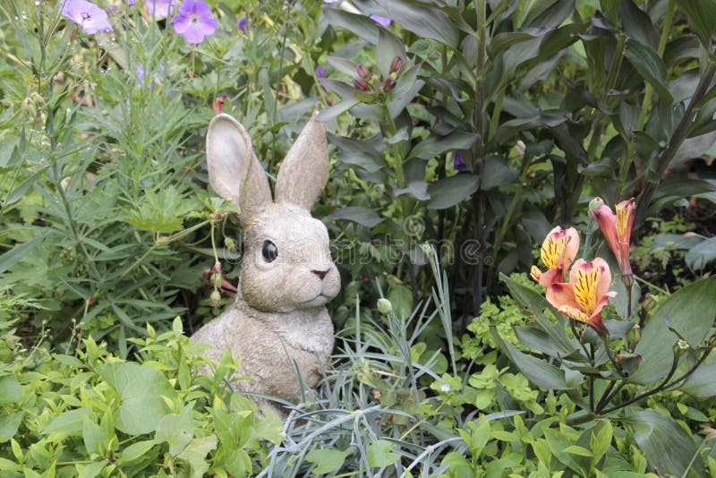 Rabbit in Garden stock image. Image of rabbit, garden - 95811613