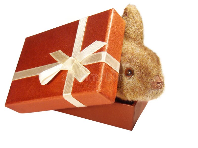 Rabbit in gift stock image. Image of gift, decorative - 11899389