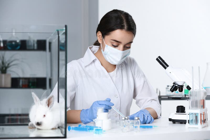 Rabbit in Glass Box on Table and Scientist Working with Sample at ...