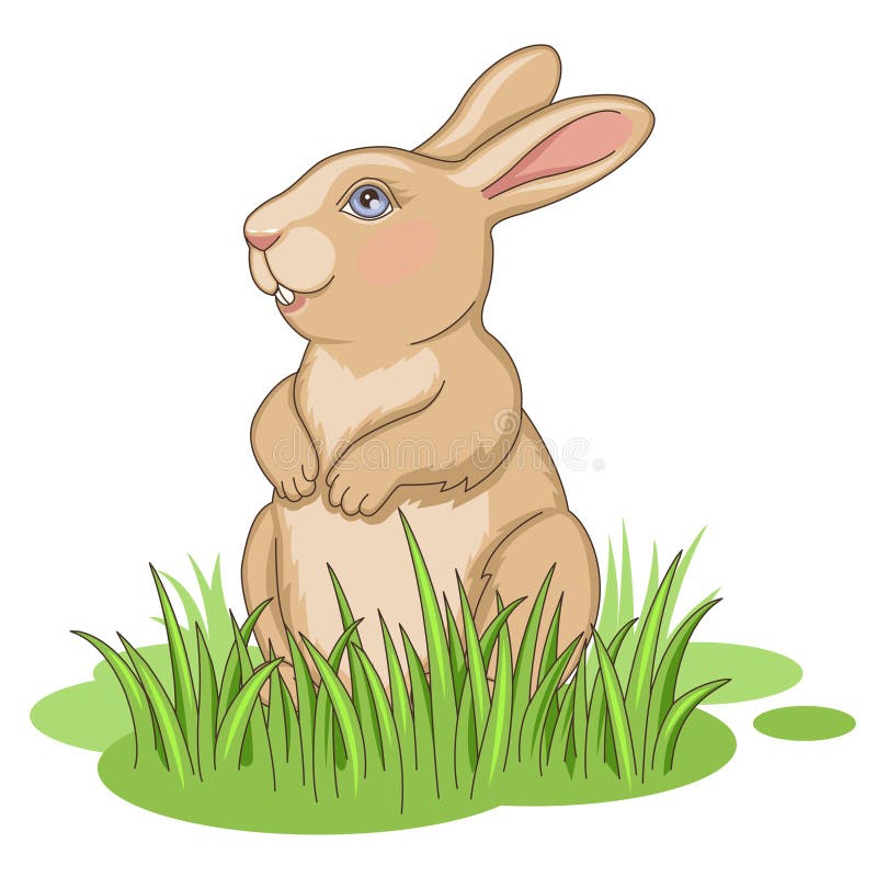 Rabbit in grass stock vector. Illustration of grass, green - 38348622