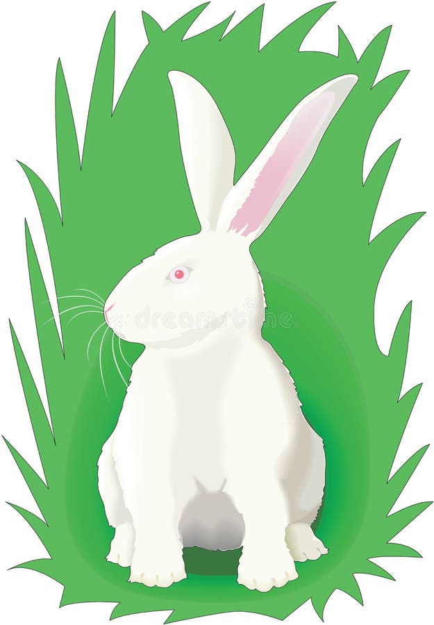 Rabbit in Grass Illustration Stock Vector - Illustration of rabbits ...