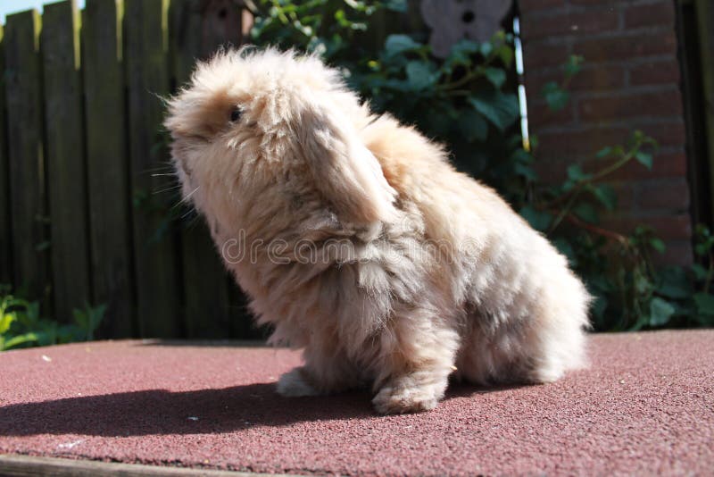 Teddy Widder Stock Photos - Free & Royalty-Free Stock Photos from ...