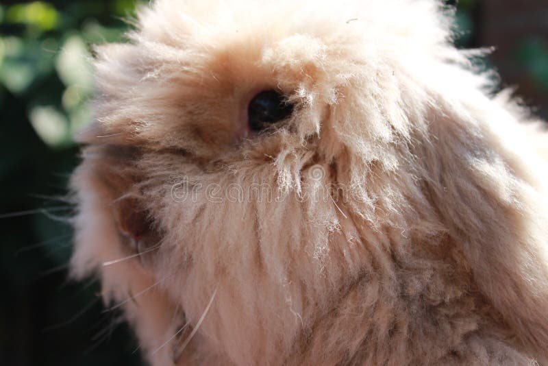 Teddy Widder Stock Photos - Free & Royalty-Free Stock Photos from ...