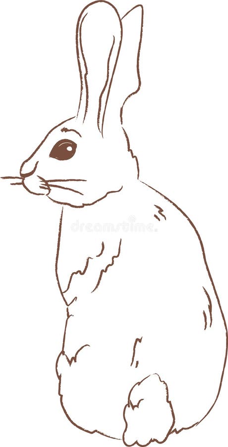 Rabbit Hand Drawn Sketch stock illustration. Illustration of animal ...