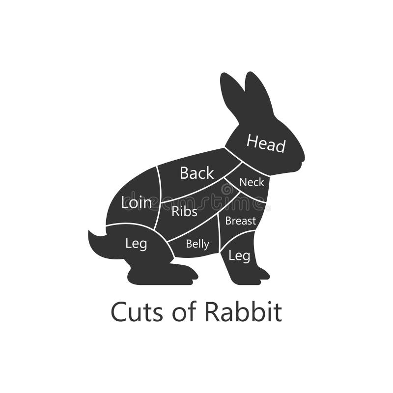 Rabbit, Hare Butchery Diagram. Cuts of Rabbit. Perfect for Restaurant ...
