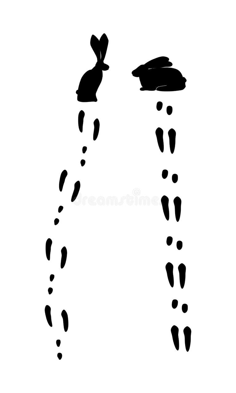 Rabbit Footprint Stock Illustrations – 1,690 Rabbit Footprint Stock ...