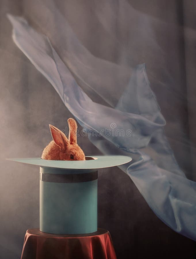 Rabbit in Hat on Blue Background Stock Image - Image of background ...