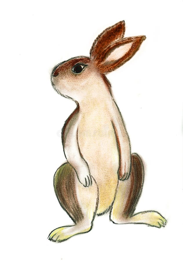 Rabbit Illustration stock vector. Illustration of rabbit - 12337490