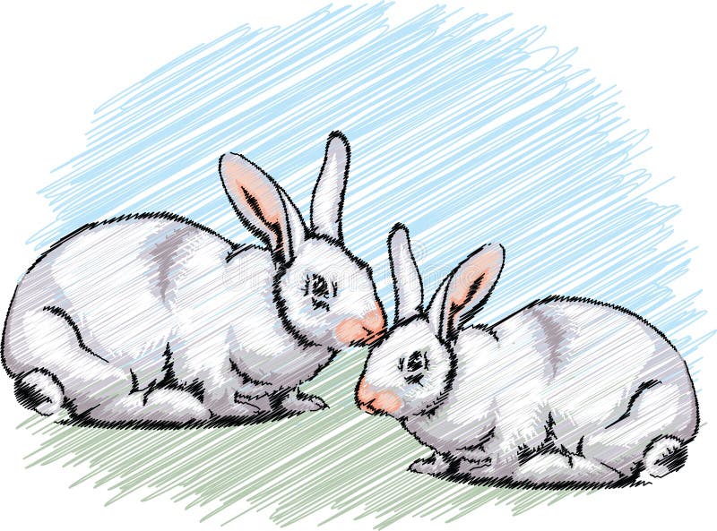 Rabbit illustration stock vector. Illustration of life - 38159874