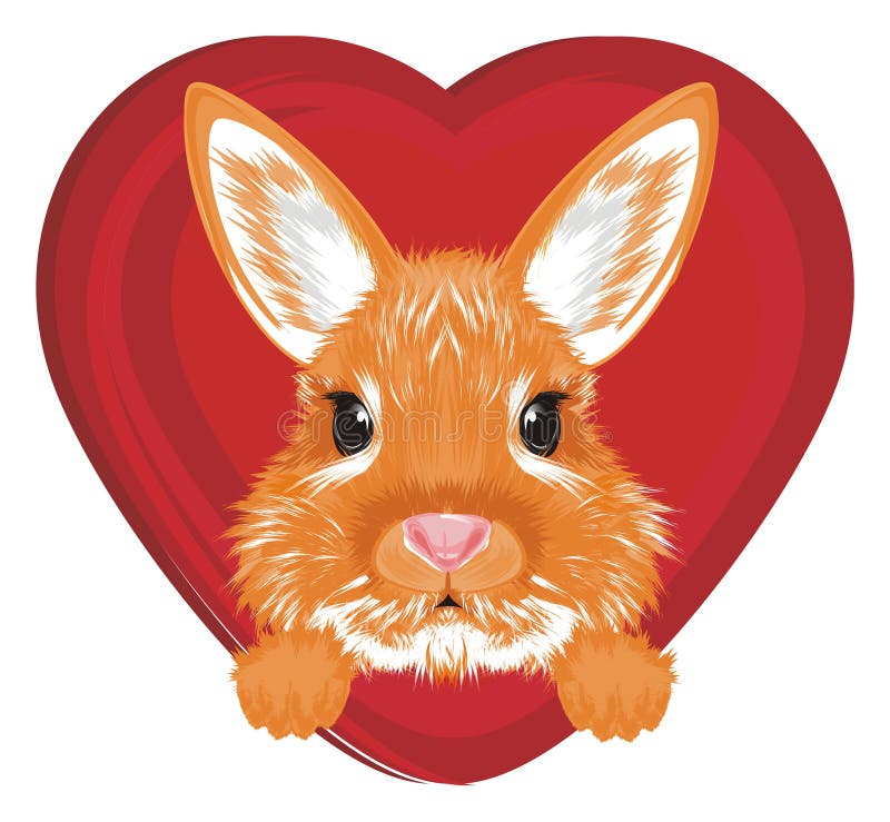 Rabbit and large heart stock illustration. Illustration of cute - 108684167