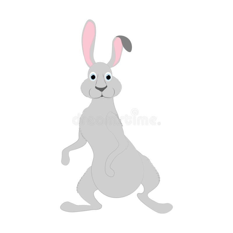 Rabbit Little Bunny Cute Animal Vector Illustration Stock Vector ...