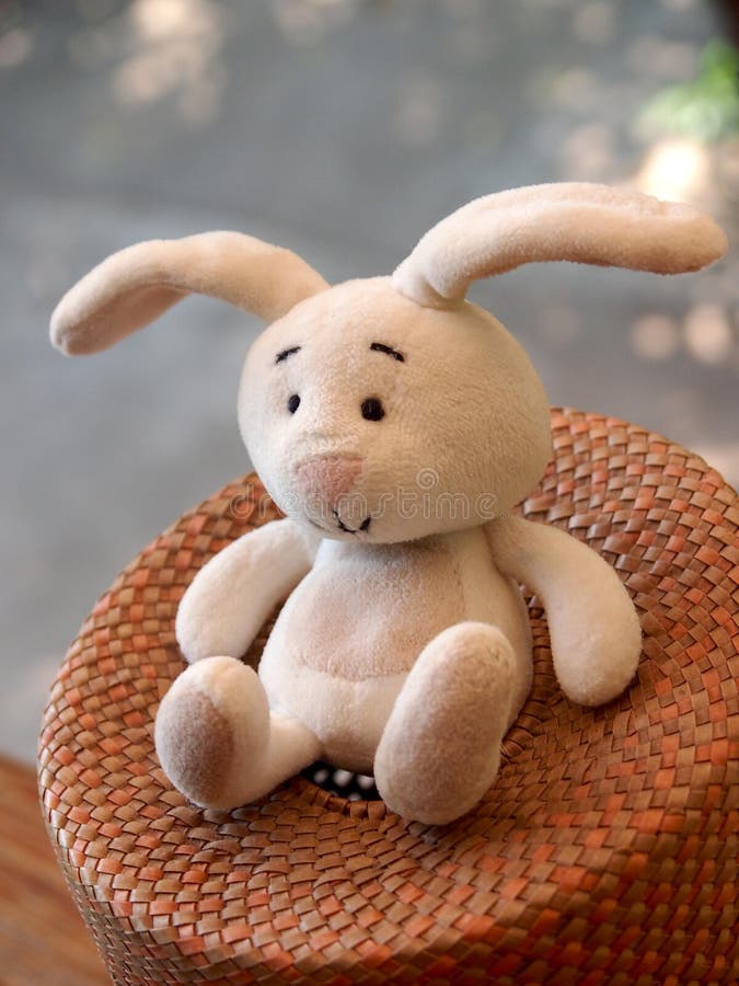 Rabbit stock photo. Image of relax, plush, rabbit, doll - 66649494