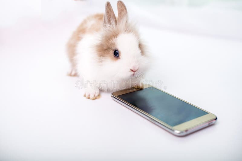 Oksana Demchyna (Demchyna) - Photographer profile