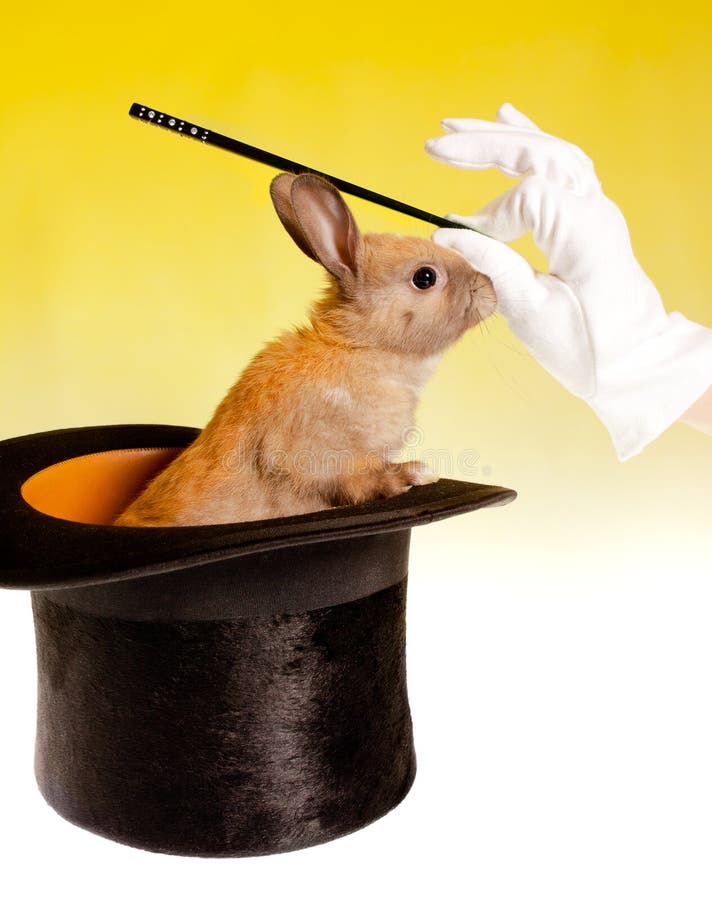 Rabbit Magic Trick in Top Hat Stock Image - Image of pair, close: 25657849