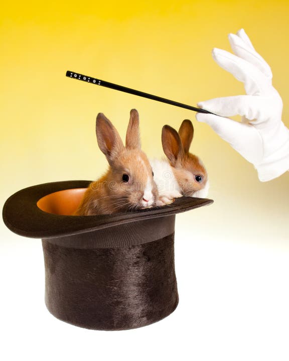 Rabbit Magic Trick in Top Hat Stock Image - Image of pair, close: 25657849