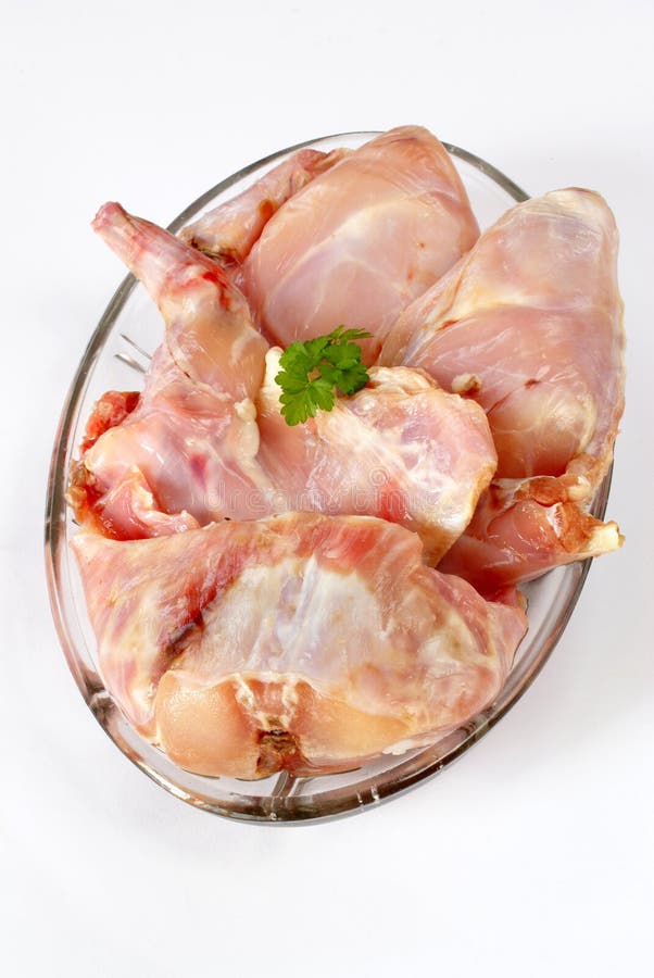 Rabbit meat stock photo. Image of rabbit, color, portion - 8869466