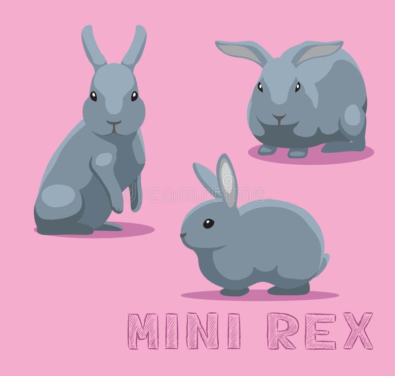 Mini Rex Rabbit Stock Illustrations – 35 Mini Rex Rabbit Stock ...