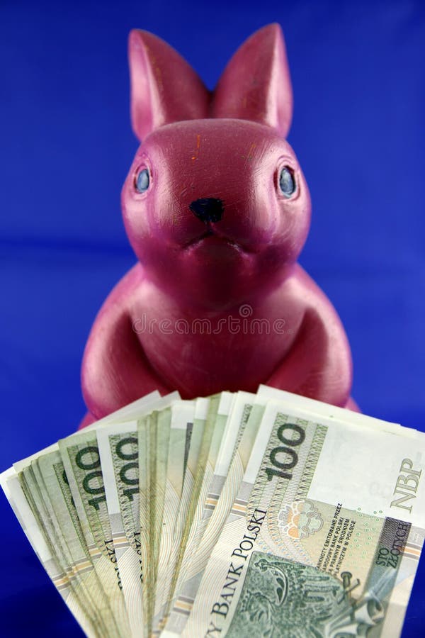 Rabbit with money stock image. Image of fluffy, isolation - 15633155