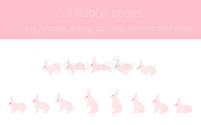 Rabbit Movements for Animation, Running and Jumping and Standing Up ...