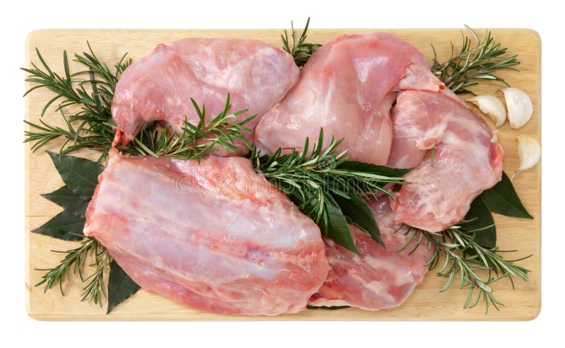 Rabbit in parts stock image. Image of parties, parts - 27468363