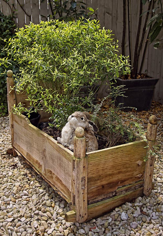 Rabbit pot stock image. Image of garden, sustainable - 23411559